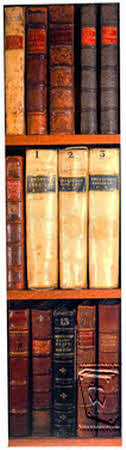 Antiquarian books bookmark